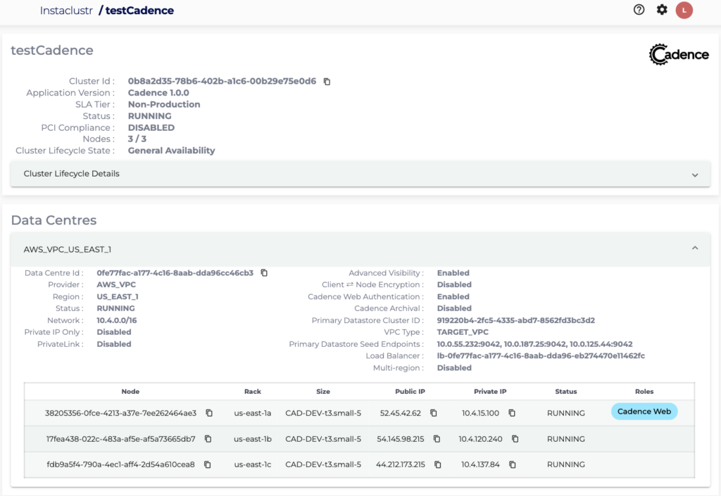 Create an Advanced Visibility Cadence Cluster | Instaclustr