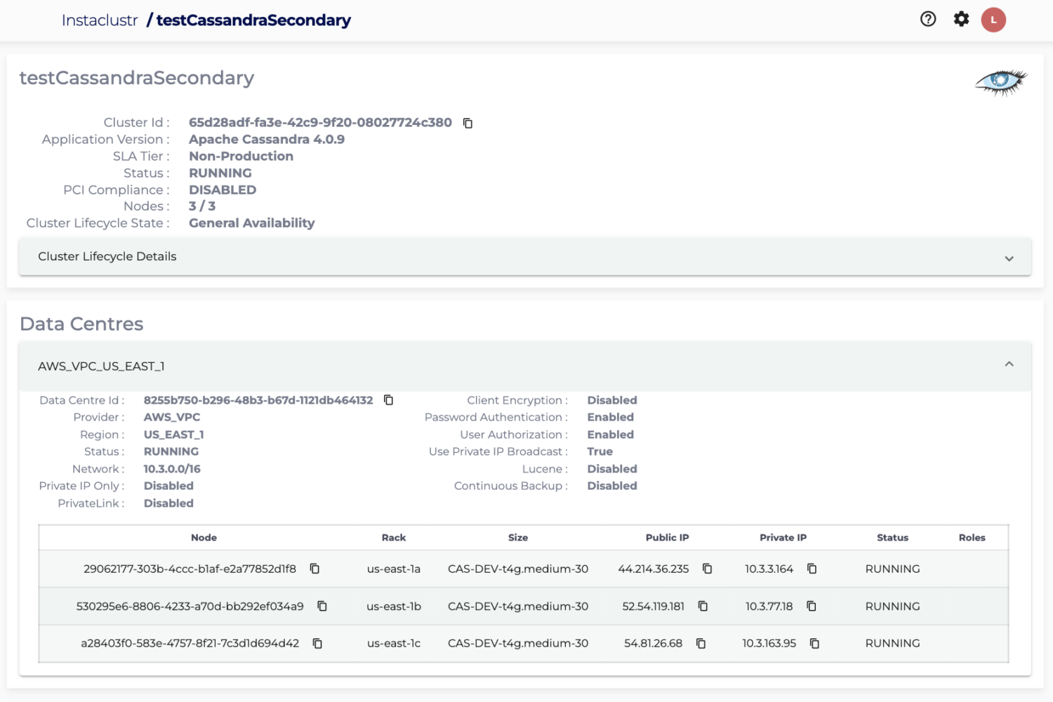 Create a Multi-Region Cadence Cluster - Instaclustr