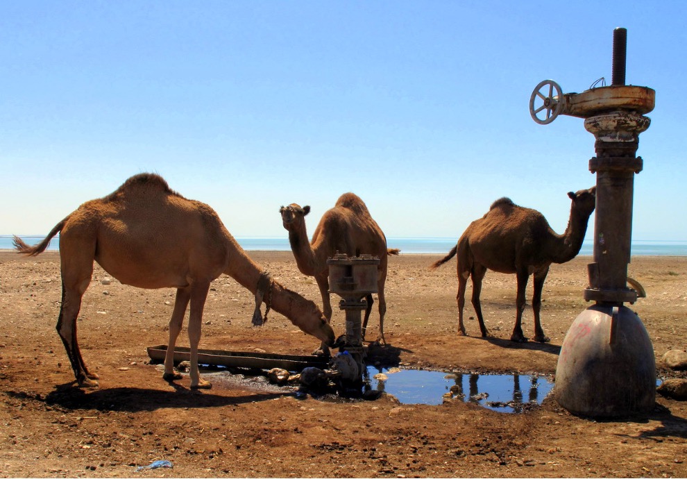 Running The Apache Camel™ Kafka Source Connector On Instaclustr Managed Apache Kafka
