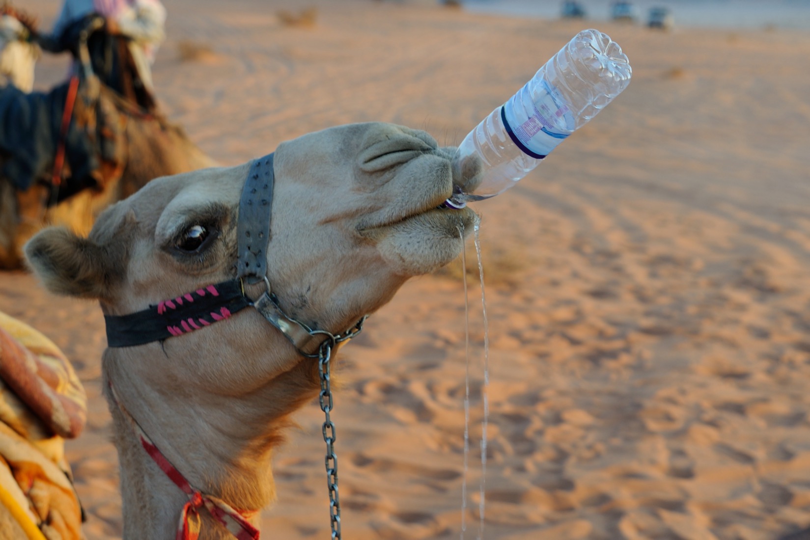 Running The Apache Camel™ Kafka Source Connector On Instaclustr Managed Apache Kafka