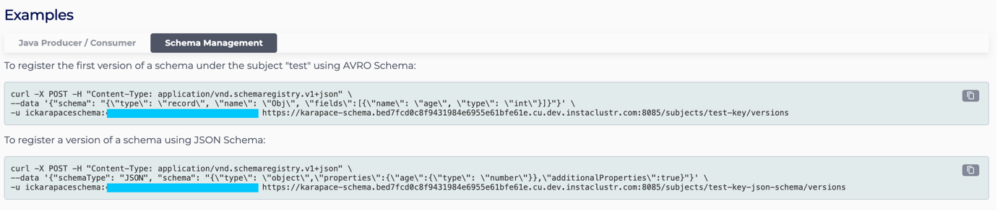 How to Use Kafdrop With Instaclustr for Apache Kafka®: Part 3 - Instaclustr