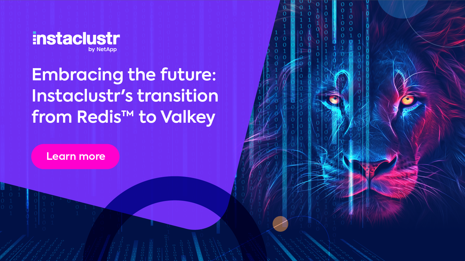 Embracing the Future: Instaclustr's Transition from Redis™ to Valkey ...